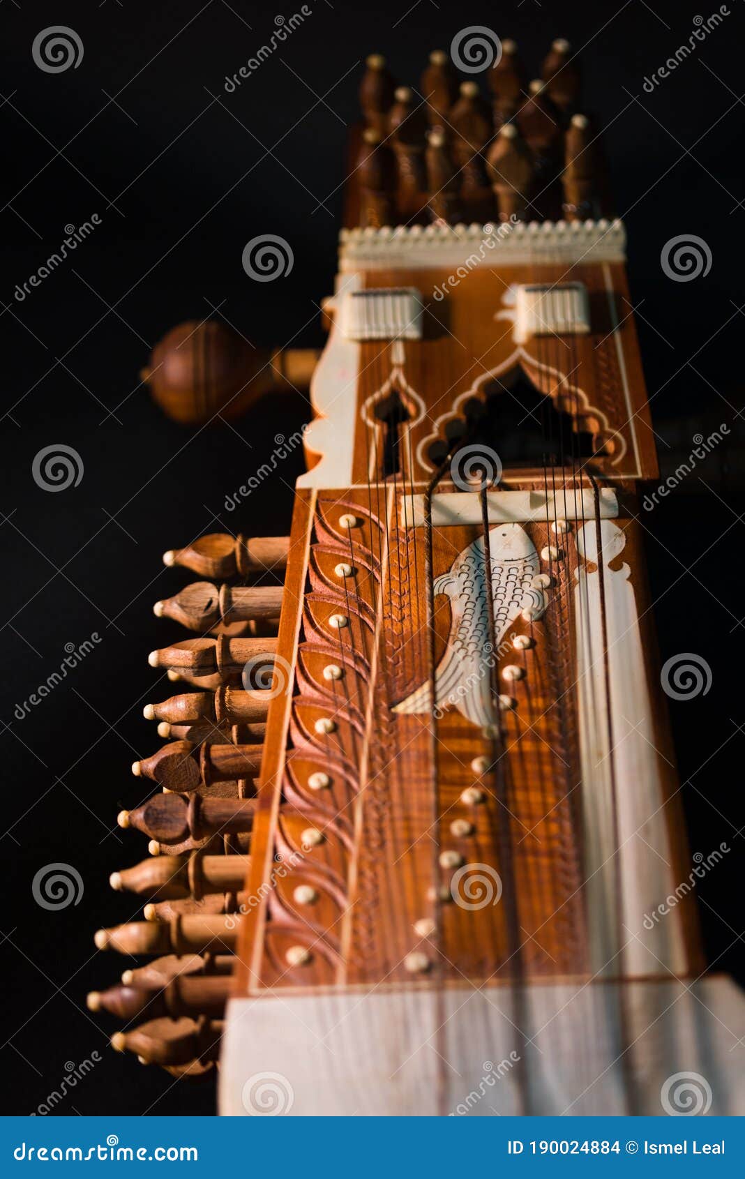 Sarangi stock photo. Image of classical, festival, students - 190024884