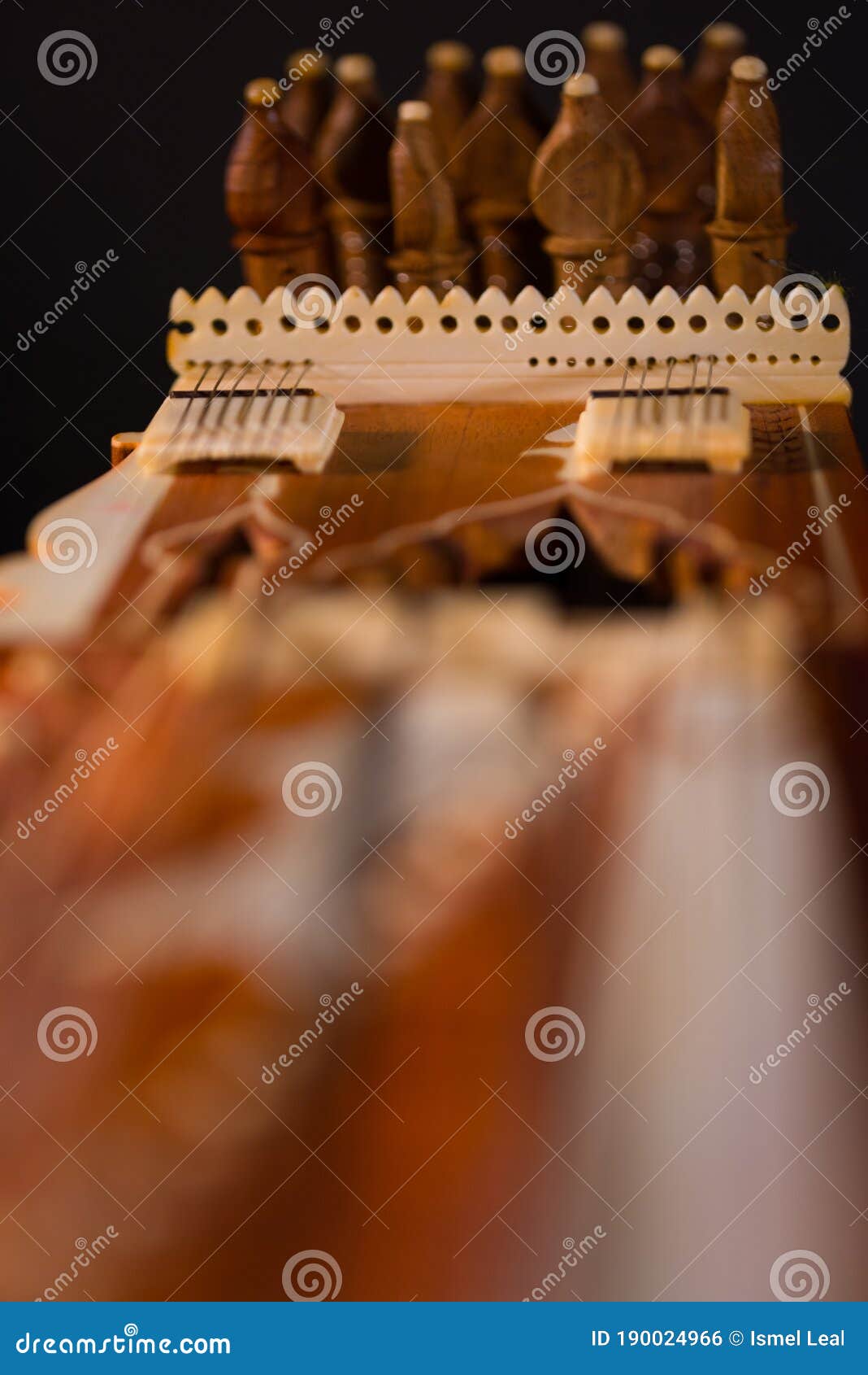 Sarangi stock photo. Image of ancient, instrument, tourism - 190024966