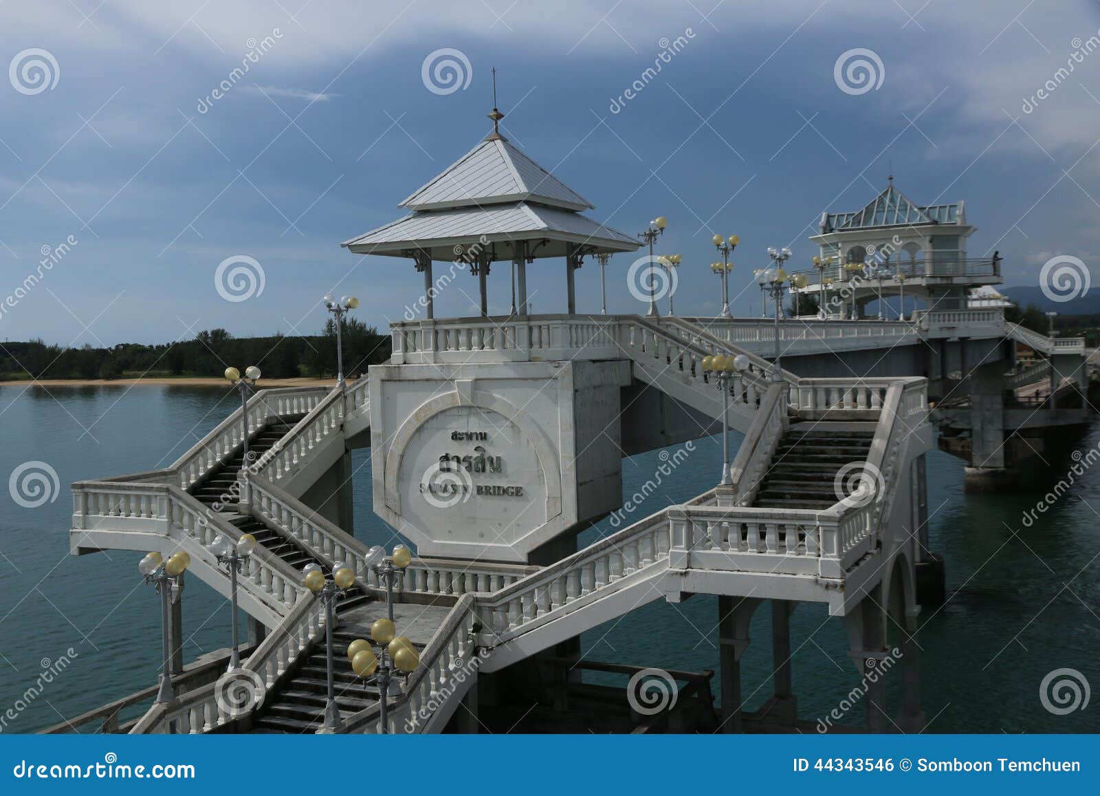 Sarasin Bridge stock photo. Image of bridge, fern, condominium - 44343546