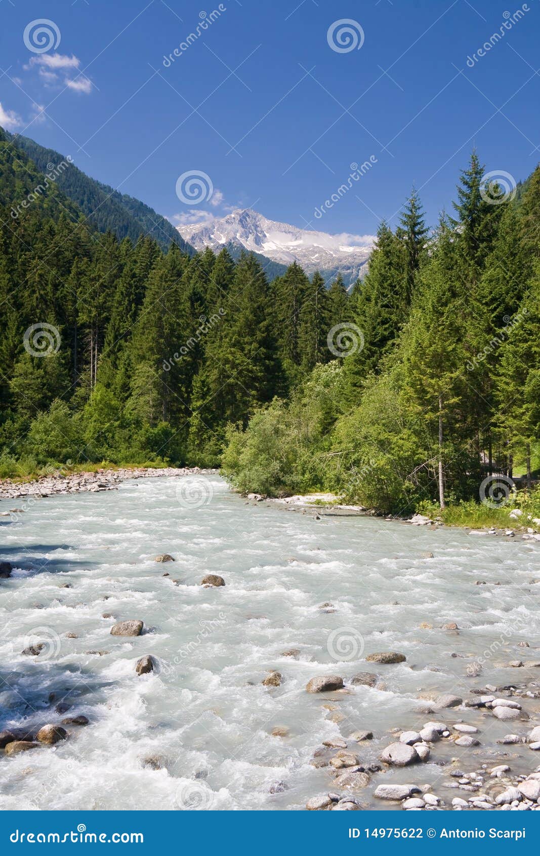 Sarca stream, Italy stock photo. Image of rock, sunny - 14975622