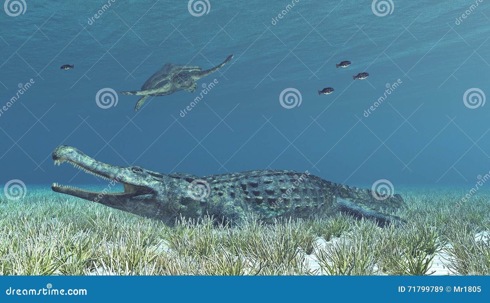 Archelon Sea Turtle Dinosaur Ancient Vector Illustration Transparent ...