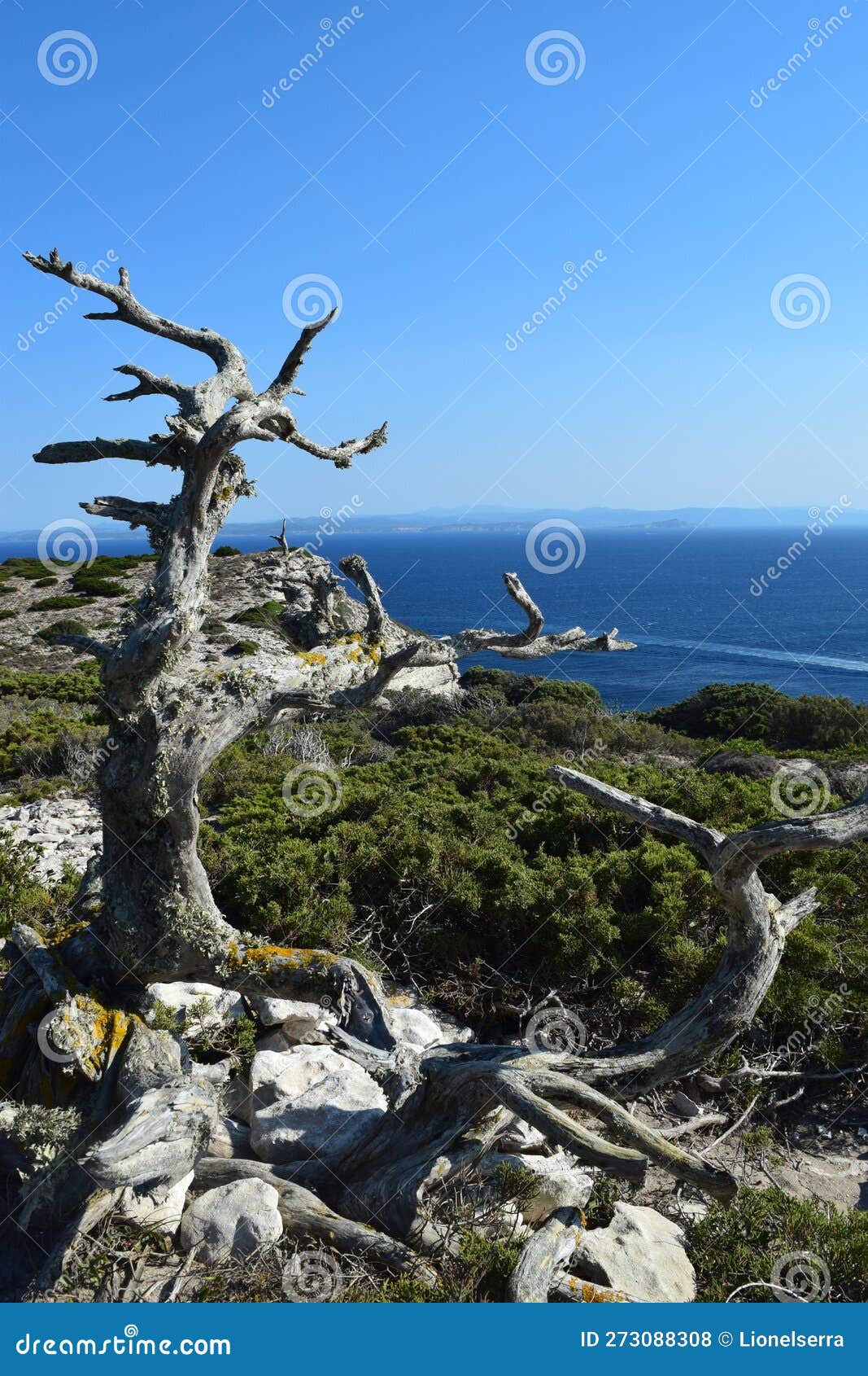 View Of Bonifacio Old TownA View Of Bonifacio Old Town Built On High ...