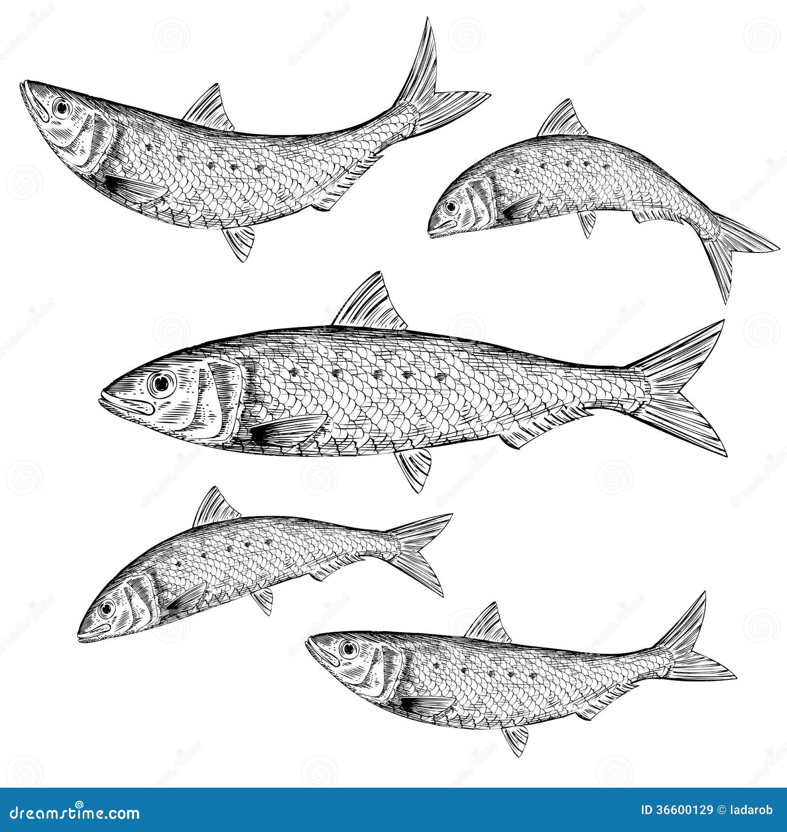 Dibujos De Sardinas Para Imprimir Dibujos Emoticonos Para Imprimir ...