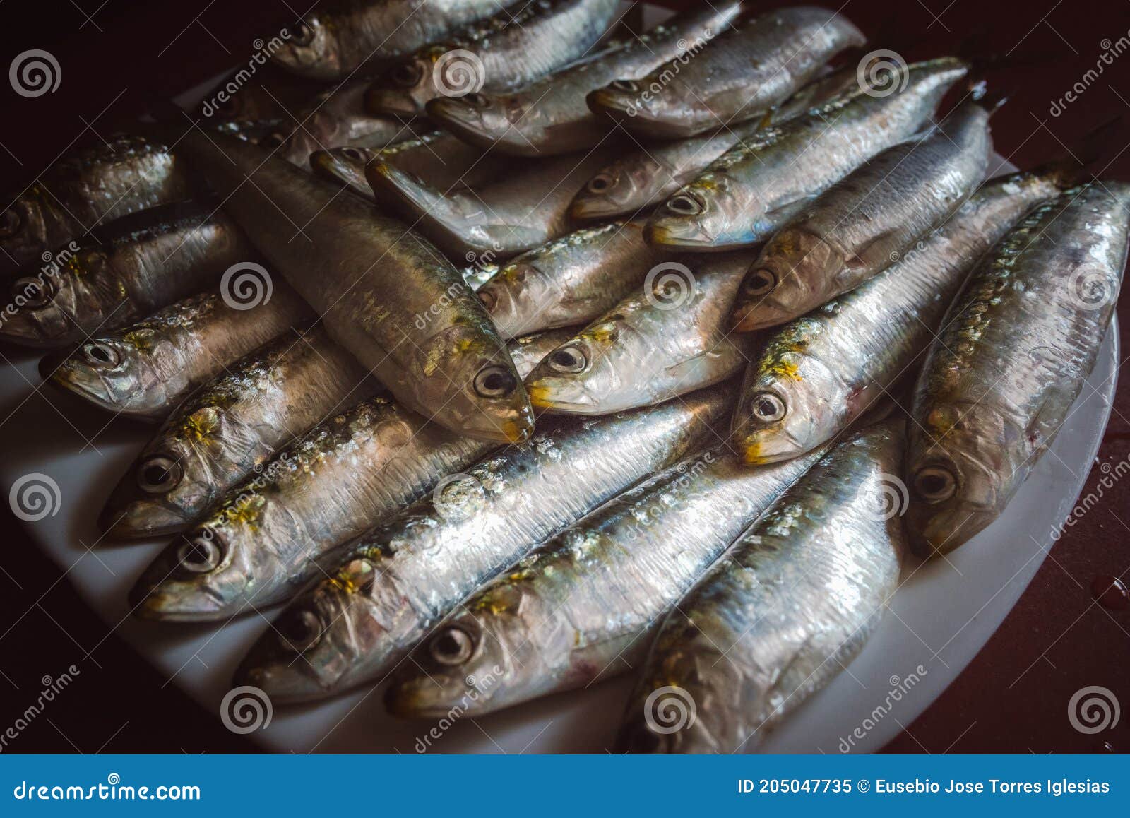 Tray of sardine dish stock image. Image of table, presentation - 205047735