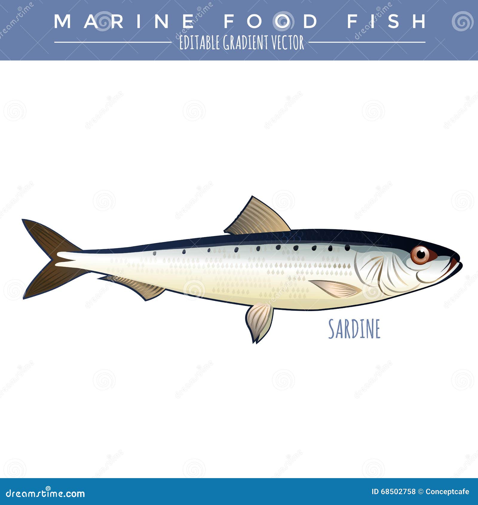 Sardine Marine Food Fish illustration de vecteur. Illustration du ...