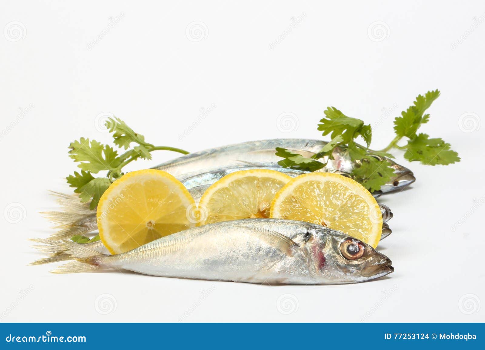 Sardine Pilchard Herring Fish Stock Photo - Image of blue, seafood ...