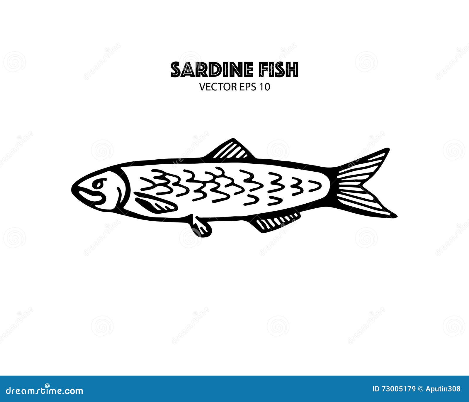 Sardine. Sea Fish. Illustration Stock Illustration - Illustration of ...