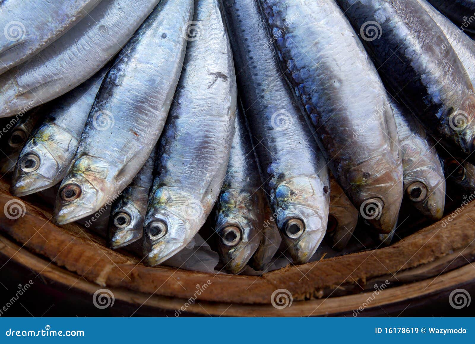 Sardinen stockbild. Bild von nahrung, marinesoldat, fische - 16178619