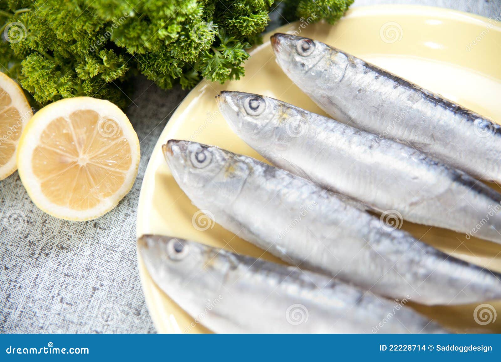 Sardines stock photo. Image of table, cooking, fish, kitchen - 22228714