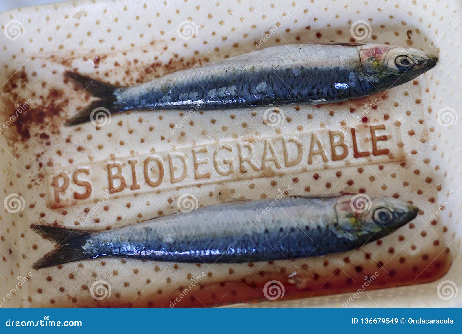 Sardines in a Biodegradable Package Stock Image - Image of friendly ...