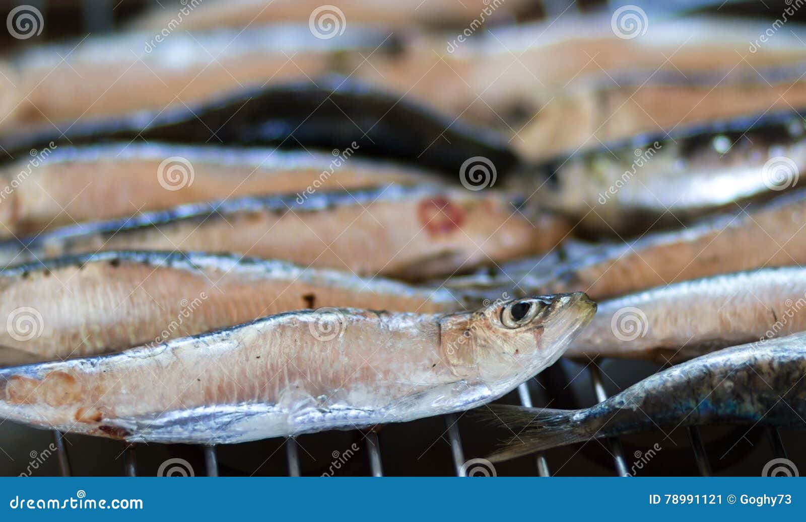 Sardines, bluefish stock image. Image of fillet, diet - 78991121