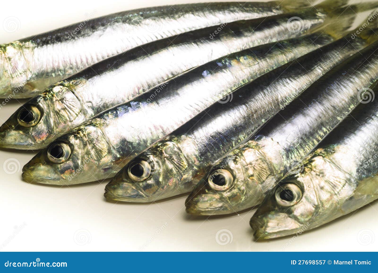 Sardines on plate stock image. Image of food, white, fresh - 27698557