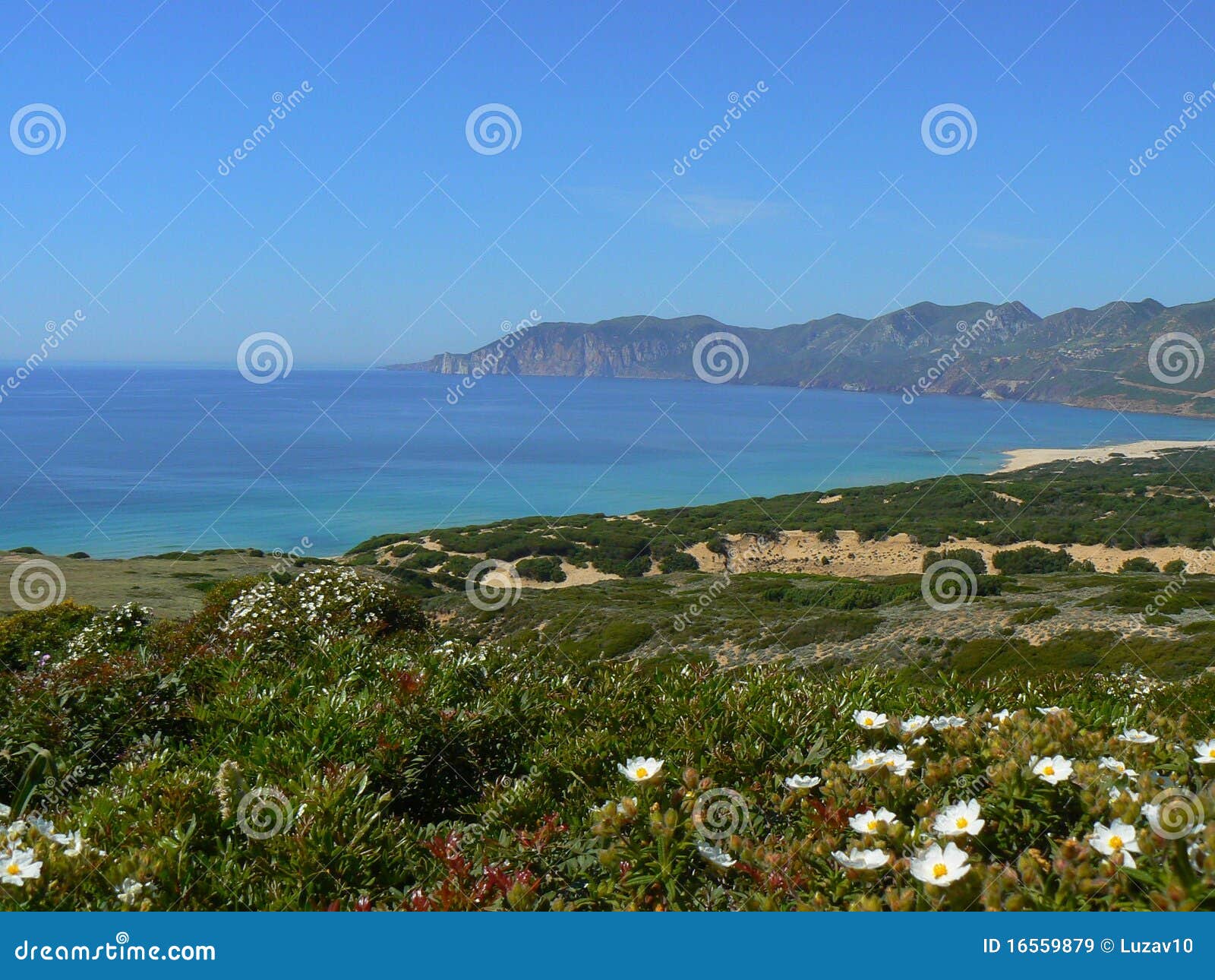 Sardinia landscape stock image. Image of history, sardinia - 16559879