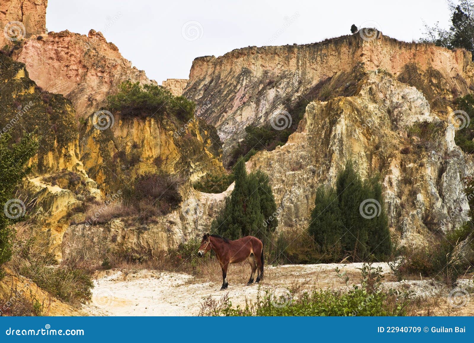 Sarin del color imagen de archivo. Imagen de yunnan, recurso - 22940709