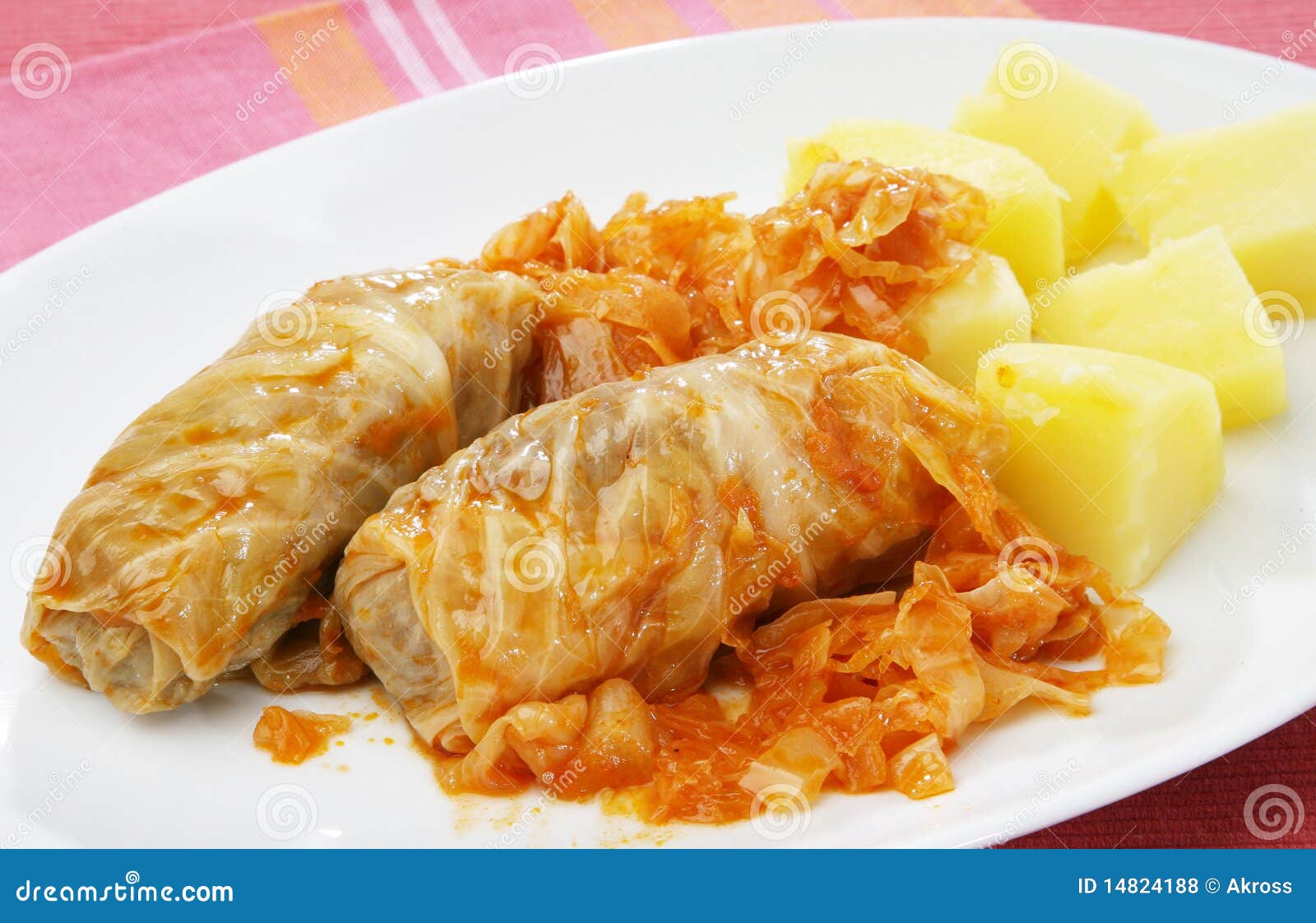 Sarma stock photo. Image of sarma, minced, cooked, called - 14824188