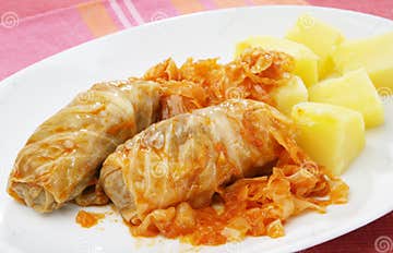 Sarma stock photo. Image of sarma, minced, cooked, called - 14824188