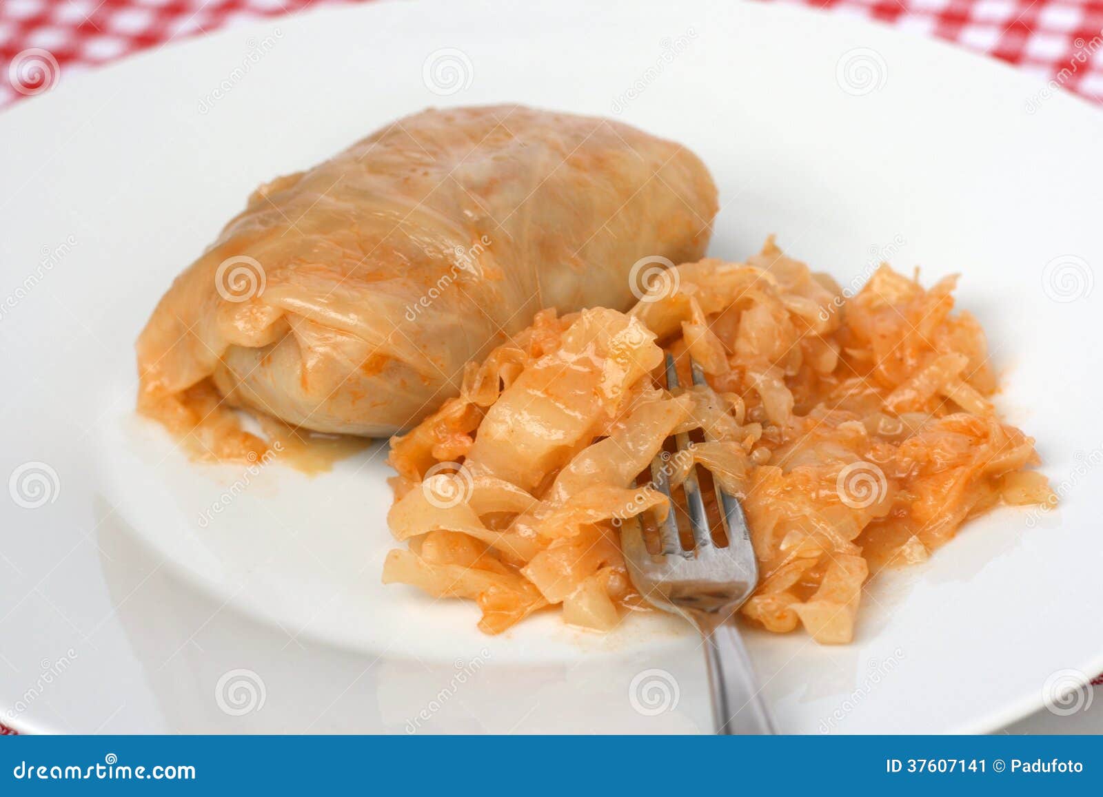 Sarma, cabbage roll stock image. Image of golabki, dolmasi - 37607141