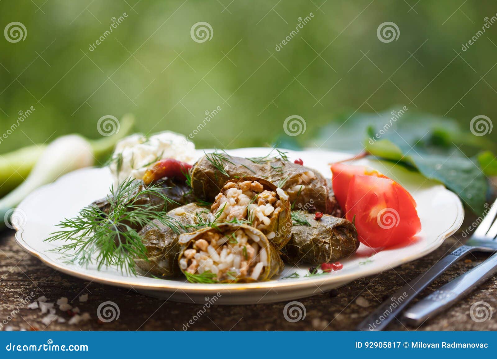 Sarma - Rice and Minced Meat Stock Image - Image of greece, gourmet ...