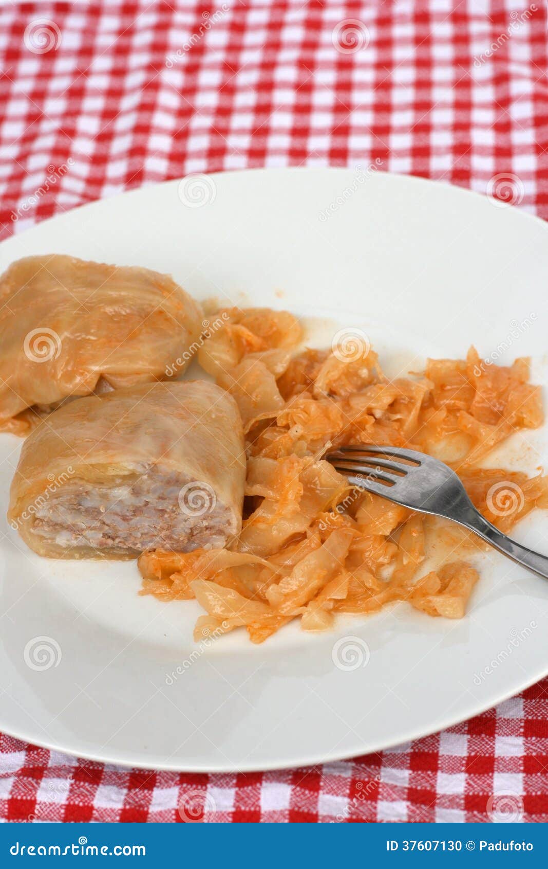 Sarma - stuffed cabbage stock photo. Image of bulgarian - 37607130