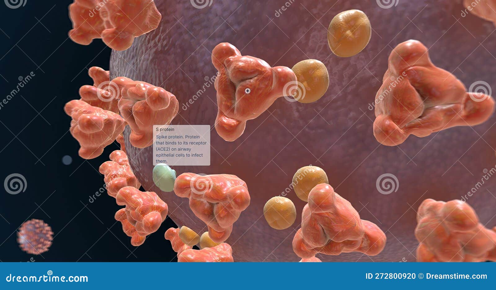 The SARS CoV-2 S Protein stock illustration. Illustration of ...