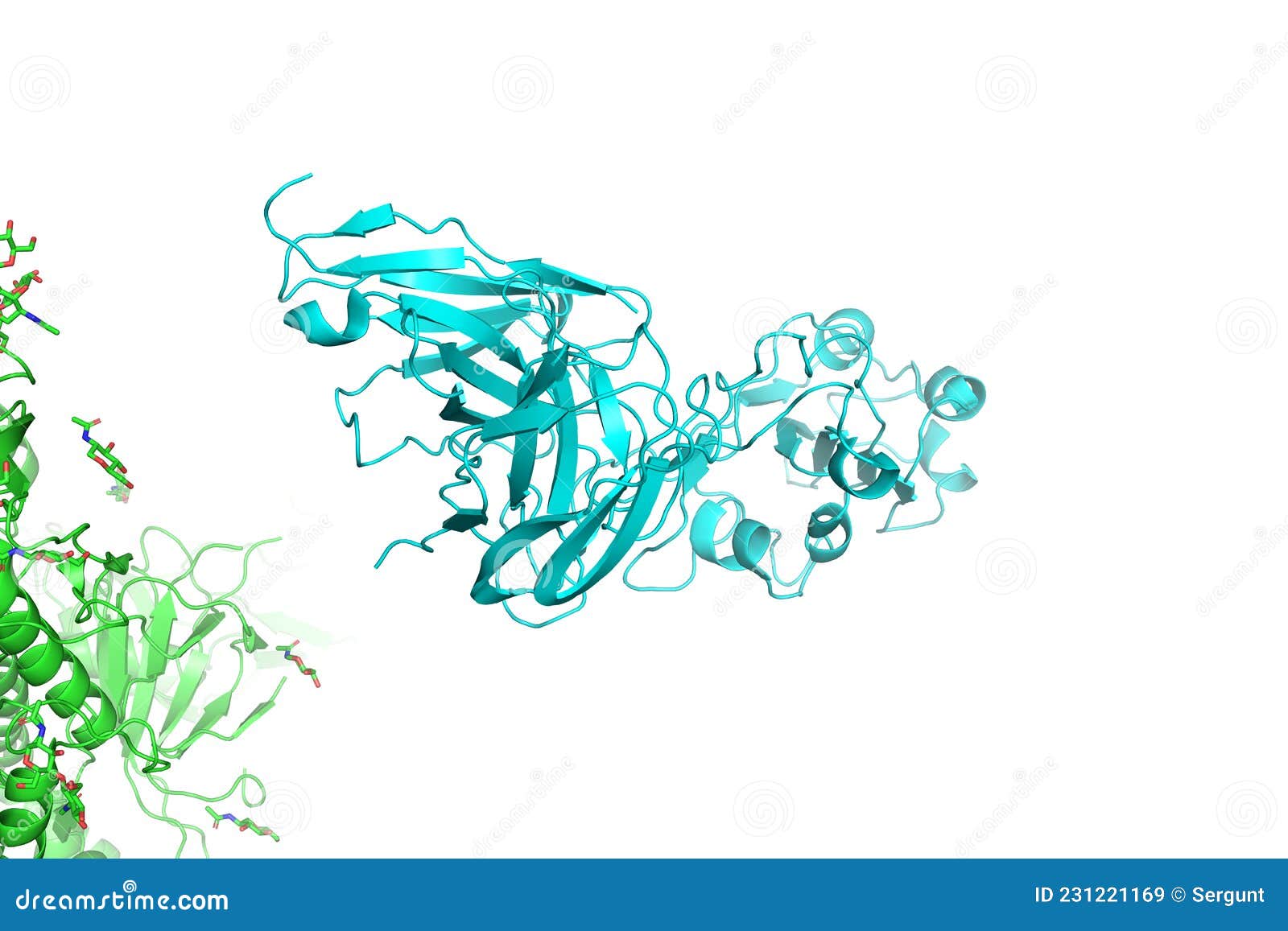 SARS-CoV-2 Spike Glycoprotein Stock Illustration - Illustration of ...