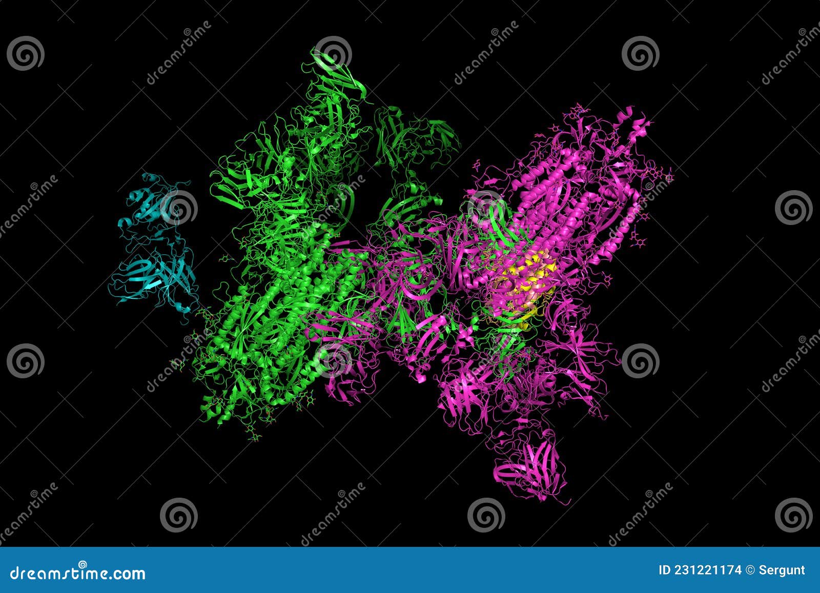 SARS-CoV-2 Spike Glycoprotein Stock Illustration - Illustration of ...