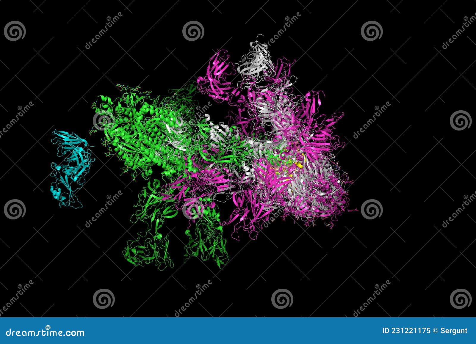 SARS-CoV-2 Spike Glycoprotein Stock Illustration - Illustration of sars ...