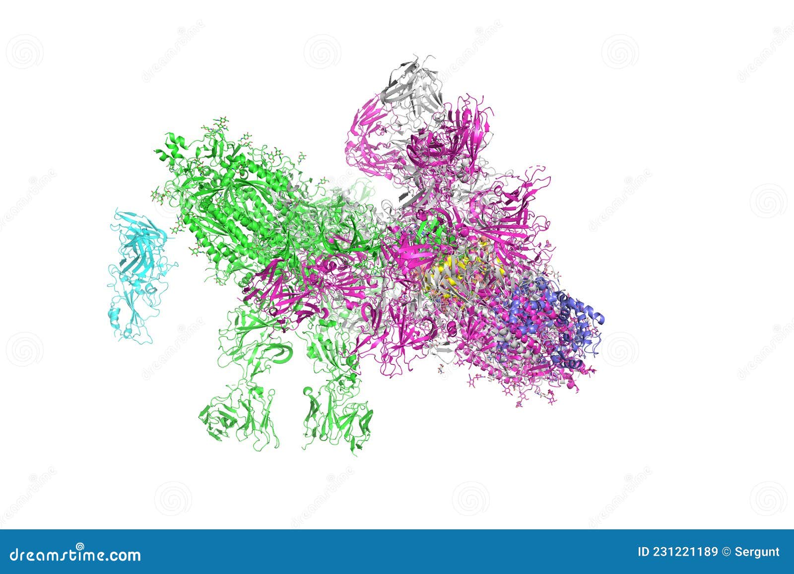 SARS-CoV-2 Spike Glycoprotein Stock Illustration - Illustration of ...
