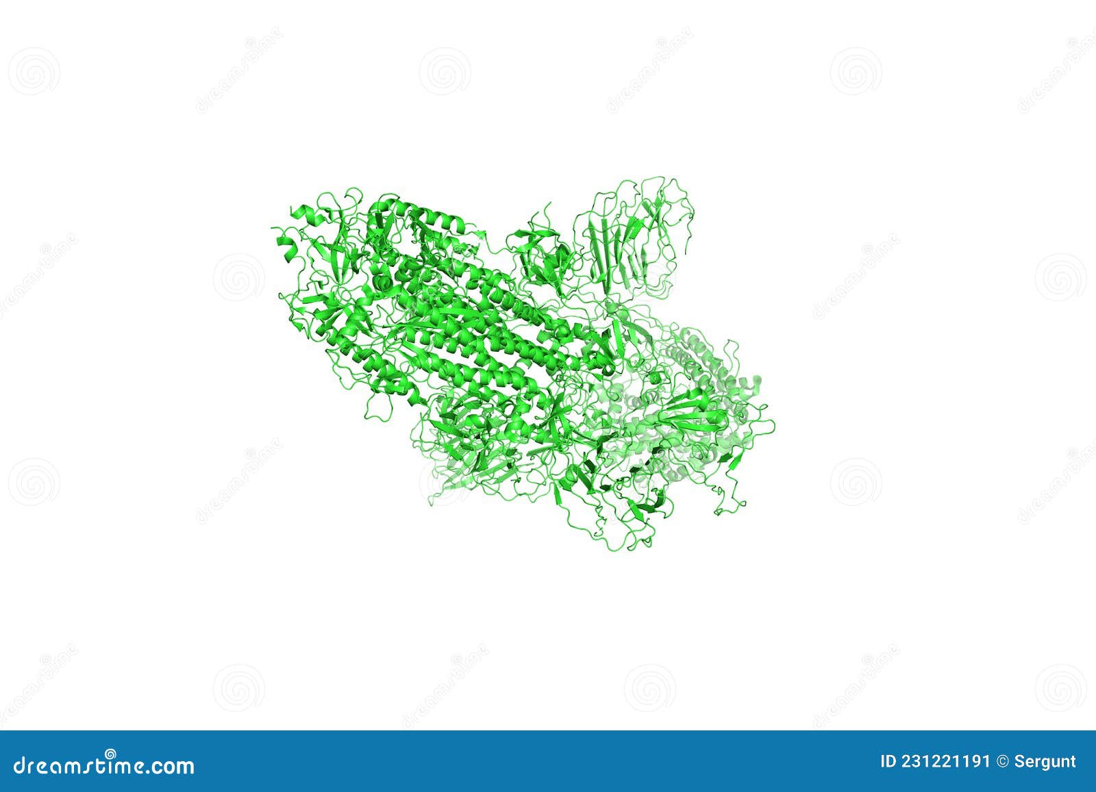 SARS-CoV-2 Spike Glycoprotein Stock Illustration - Illustration of ...