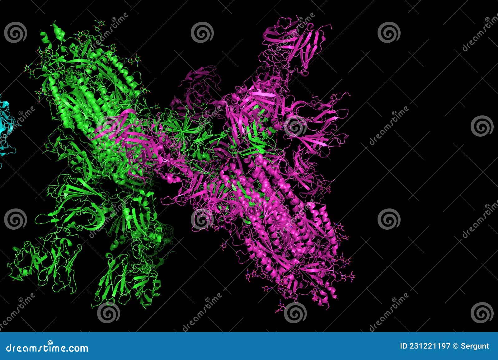SARS-CoV-2 Spike Glycoprotein Stock Illustration - Illustration of ...