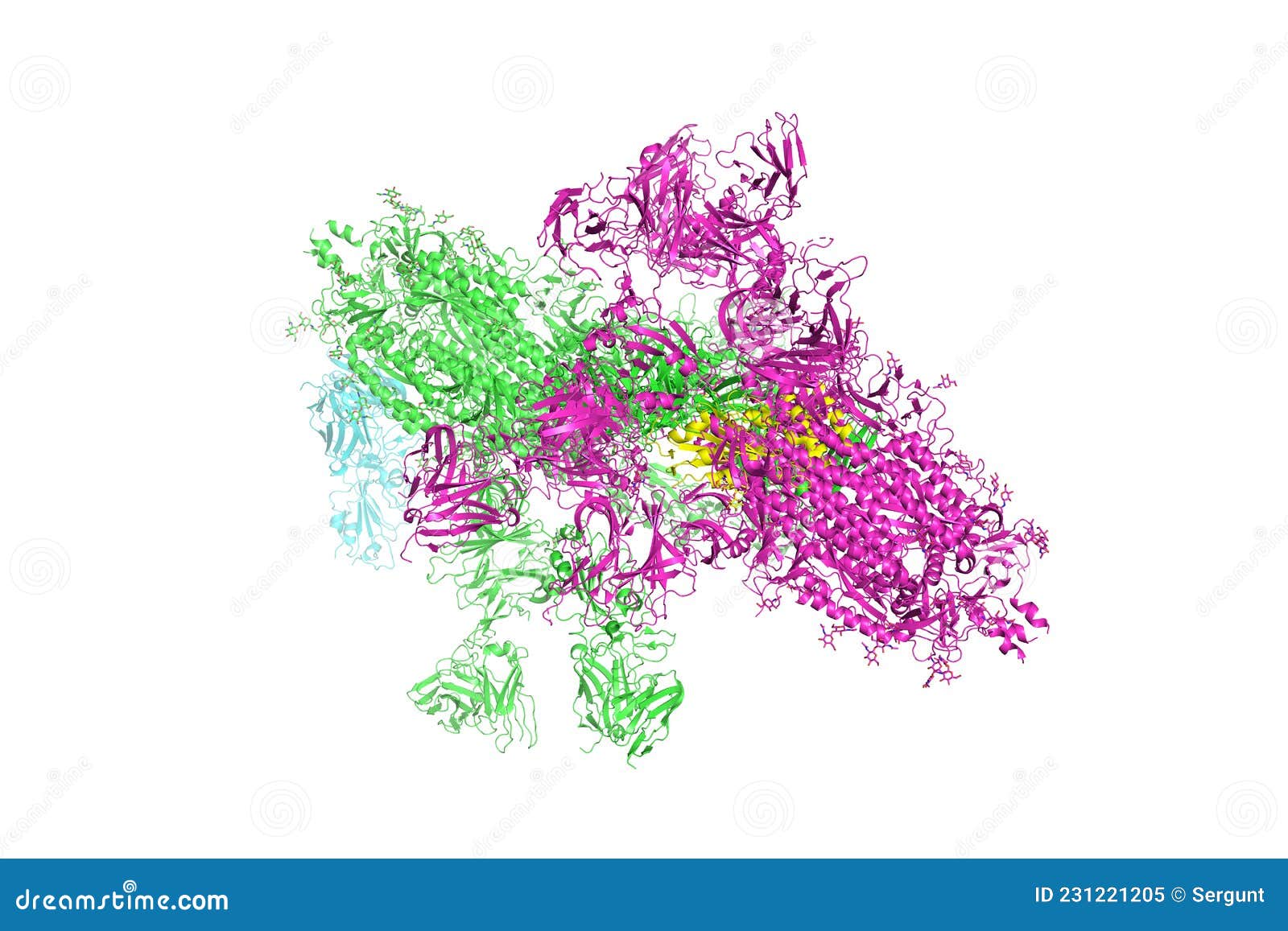 SARS-CoV-2 Spike Glycoprotein Stock Illustration - Illustration of ...
