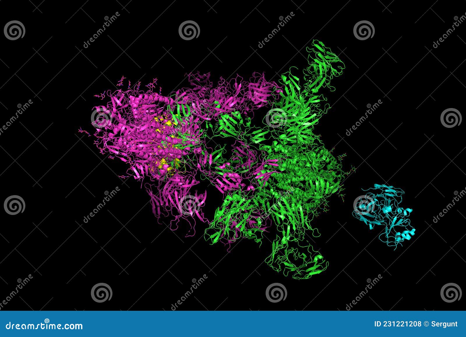 SARS-CoV-2 Spike Glycoprotein Stock Illustration - Illustration of ...