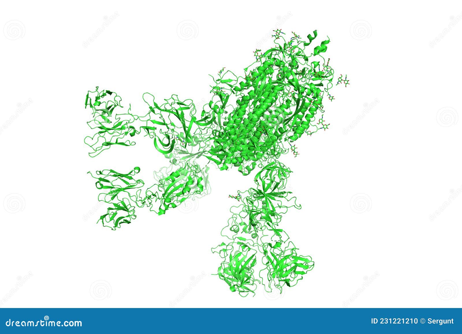 SARS-CoV-2 Spike Glycoprotein Stock Illustration - Illustration of ...