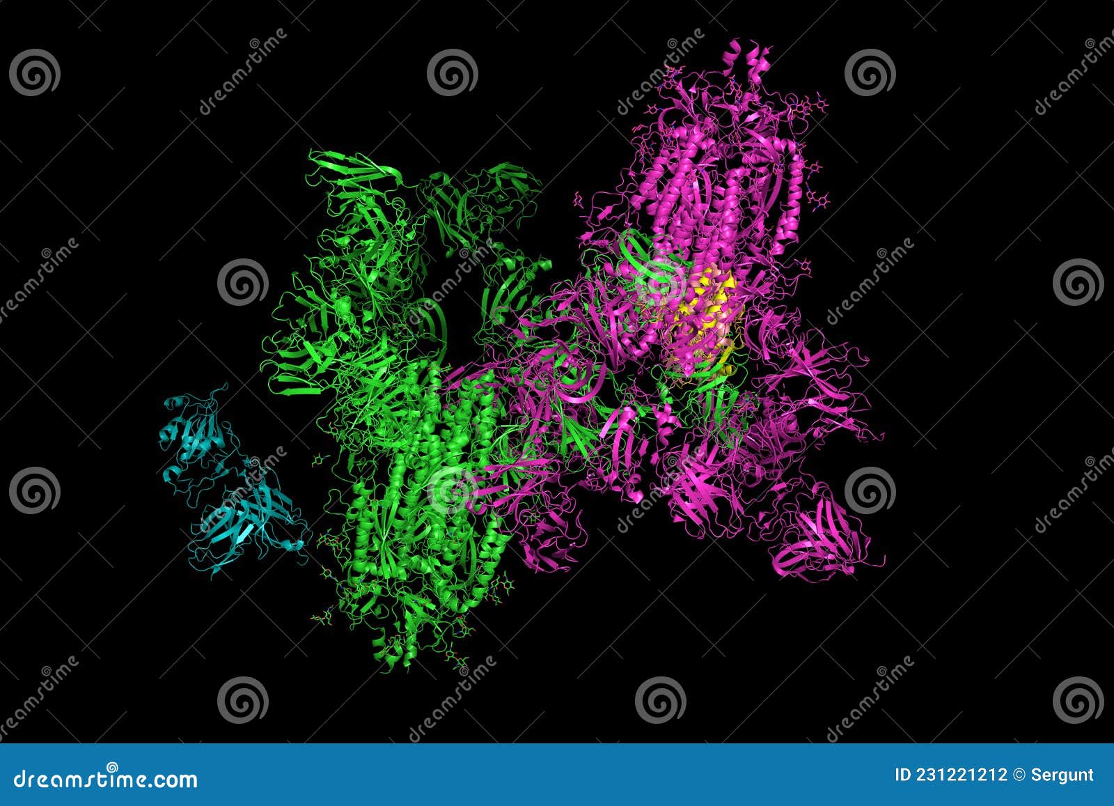 SARS-CoV-2 Spike Glycoprotein Stock Illustration - Illustration of ...