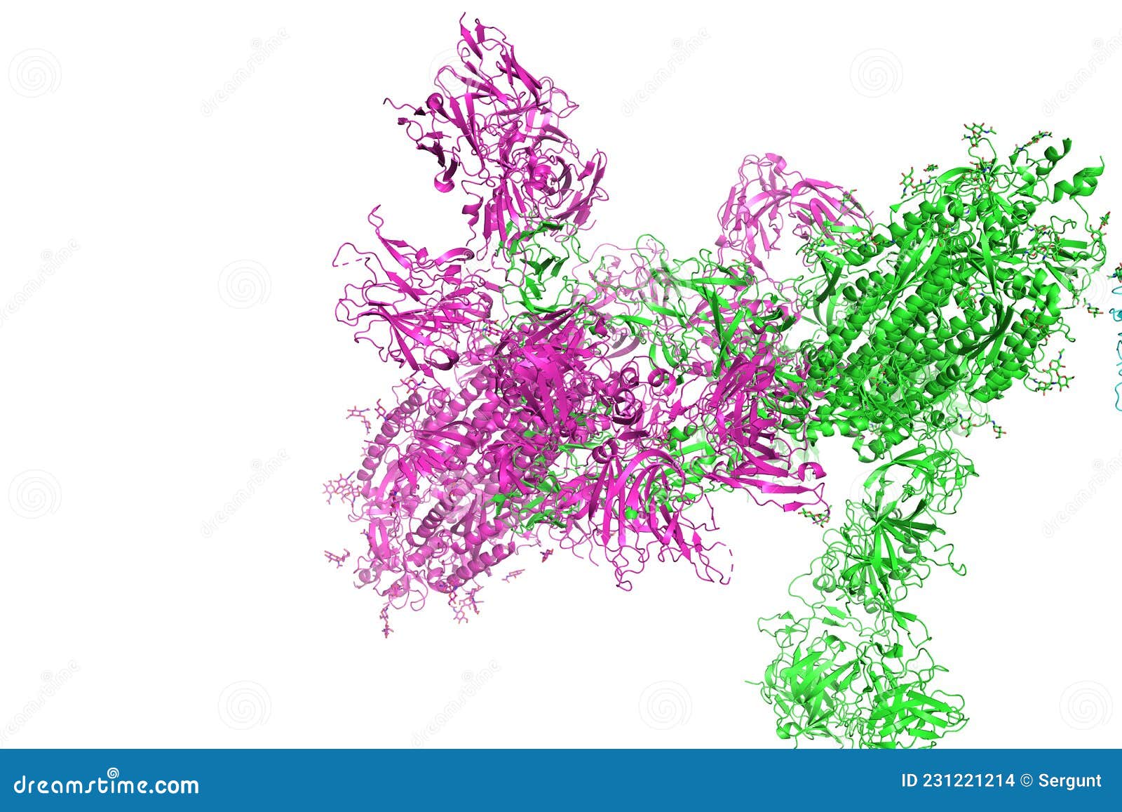 SARS-CoV-2 Spike Glycoprotein Stock Illustration - Illustration of ...