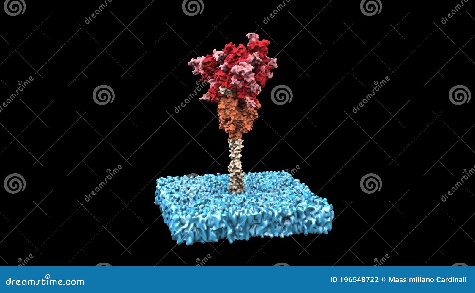 SARS-CoV-2 Spike S Protein in Membrane - Rotation Loop Stock Footage ...