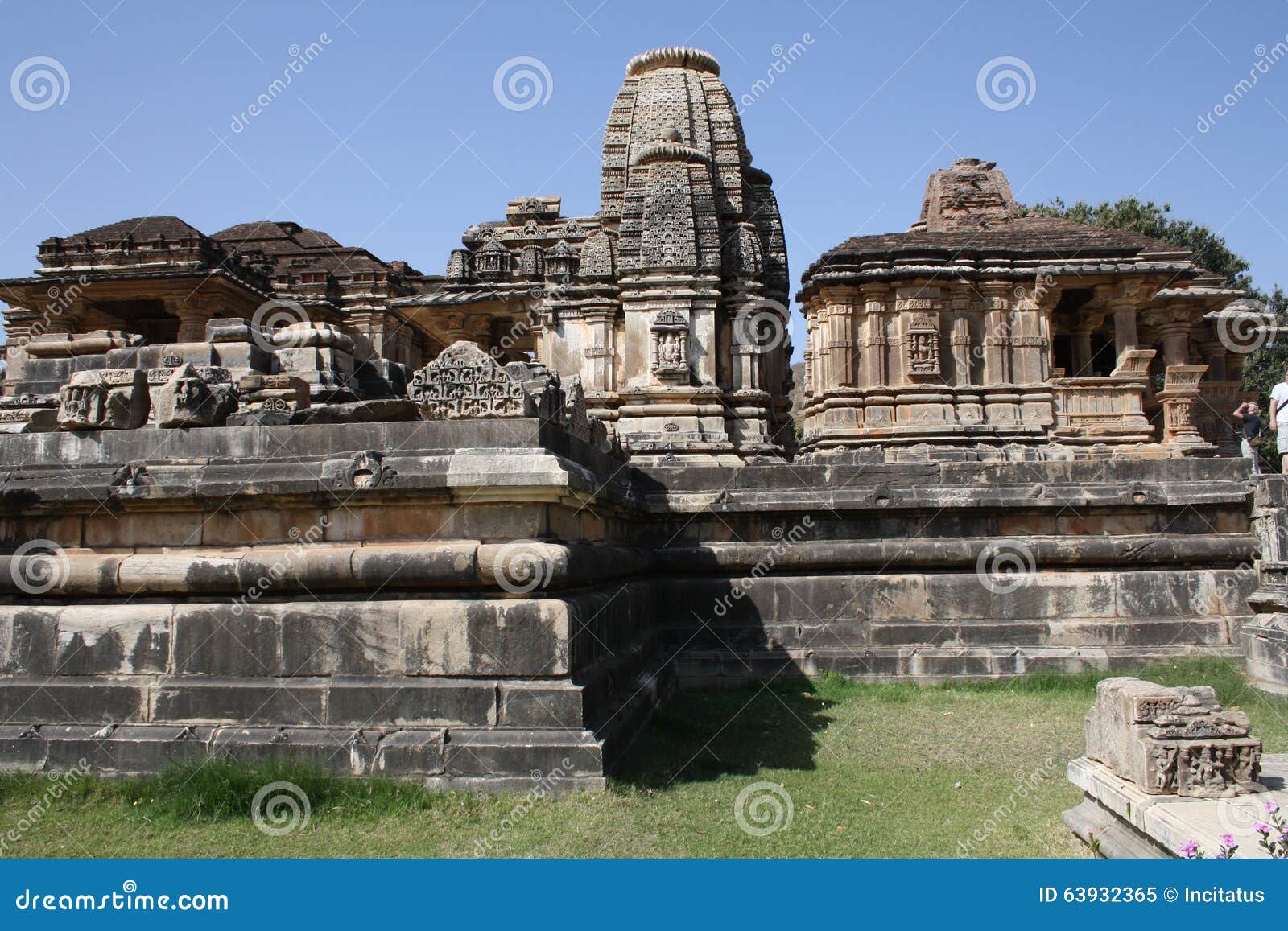 SAS BAHU TEMPLE in INDIA stock image. Image of inside - 63932365