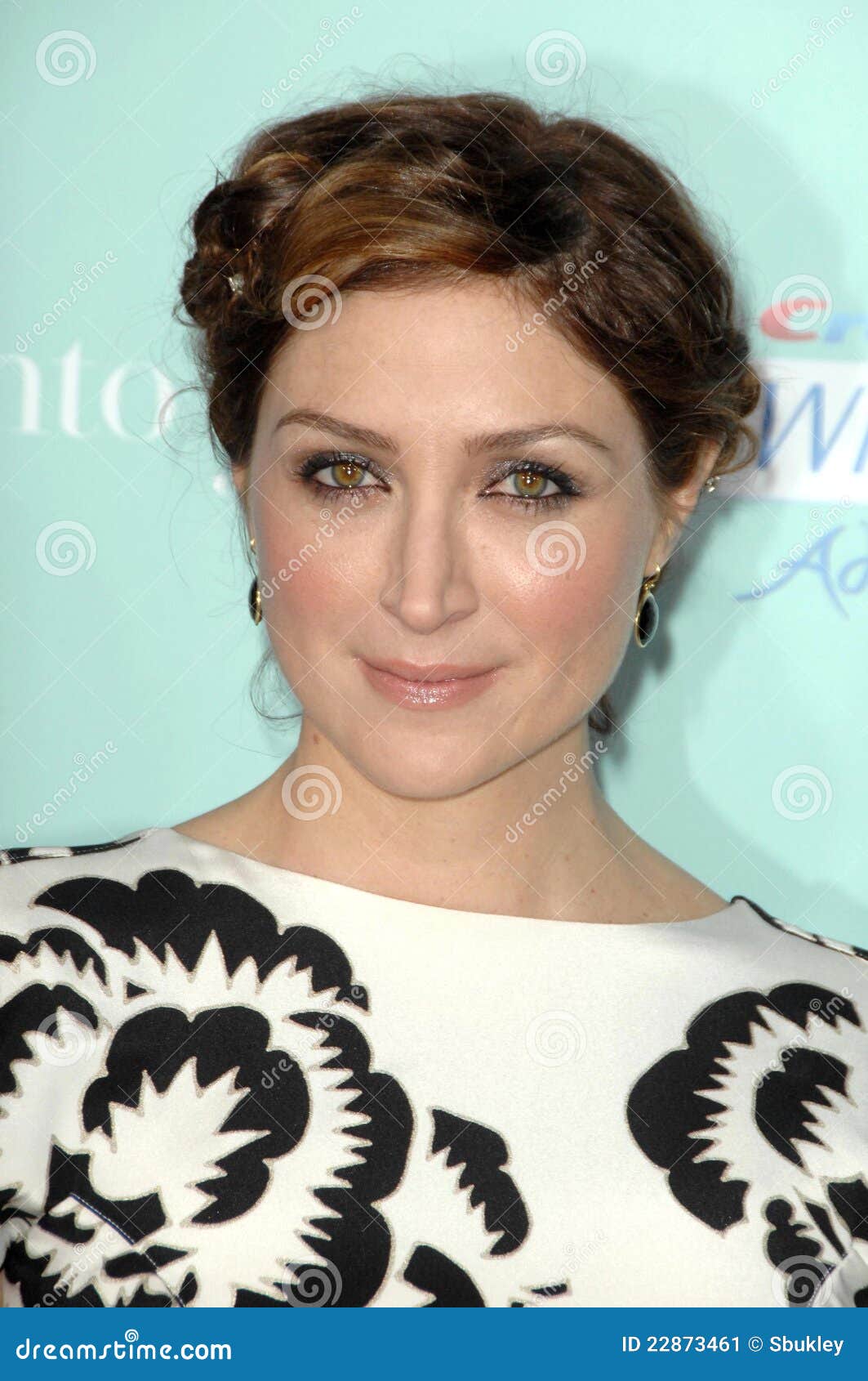 Sasha Alexander editorial photo. Image of alexander, sasha - 22873461