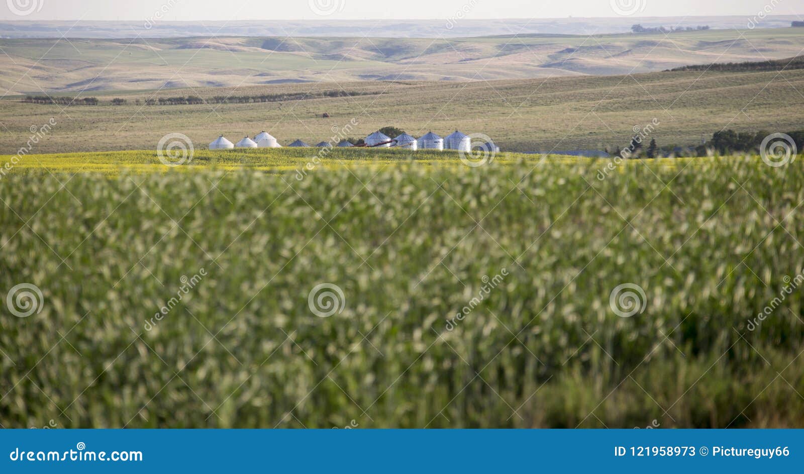 Saskatchewan Field Prairie stock image. Image of countryside - 121958973