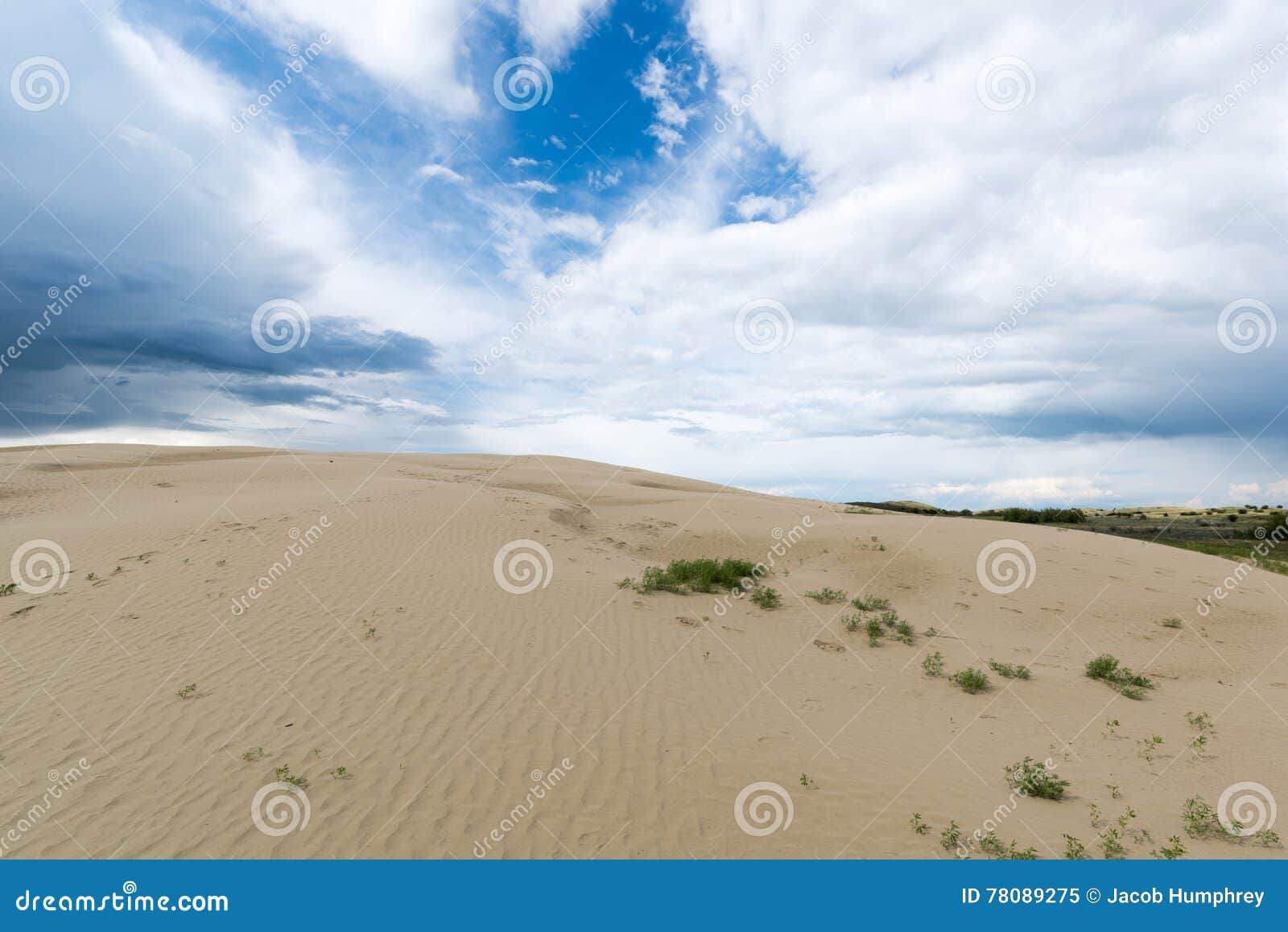 Saskatchewan Great Sand Dunes Stock Image - Image of summer, color ...