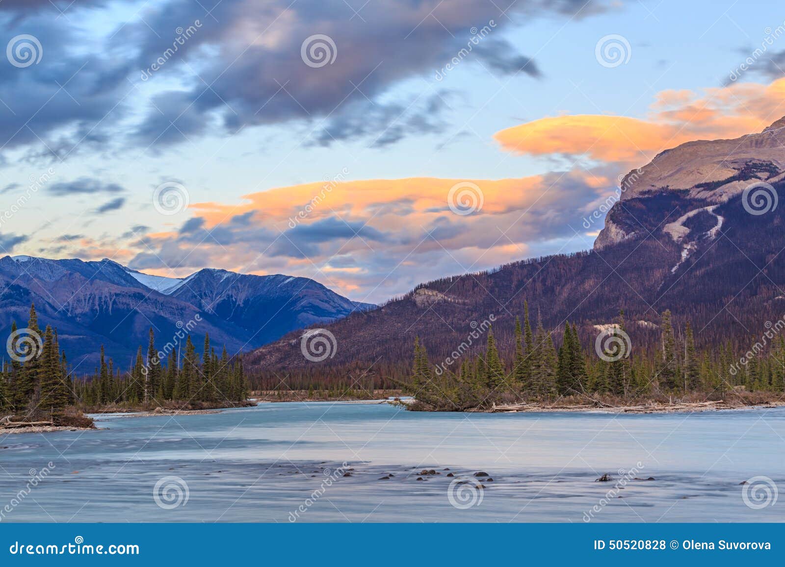 Saskatchewan River, Alberta, Canada Stock Photo - Image of saskatchewan ...
