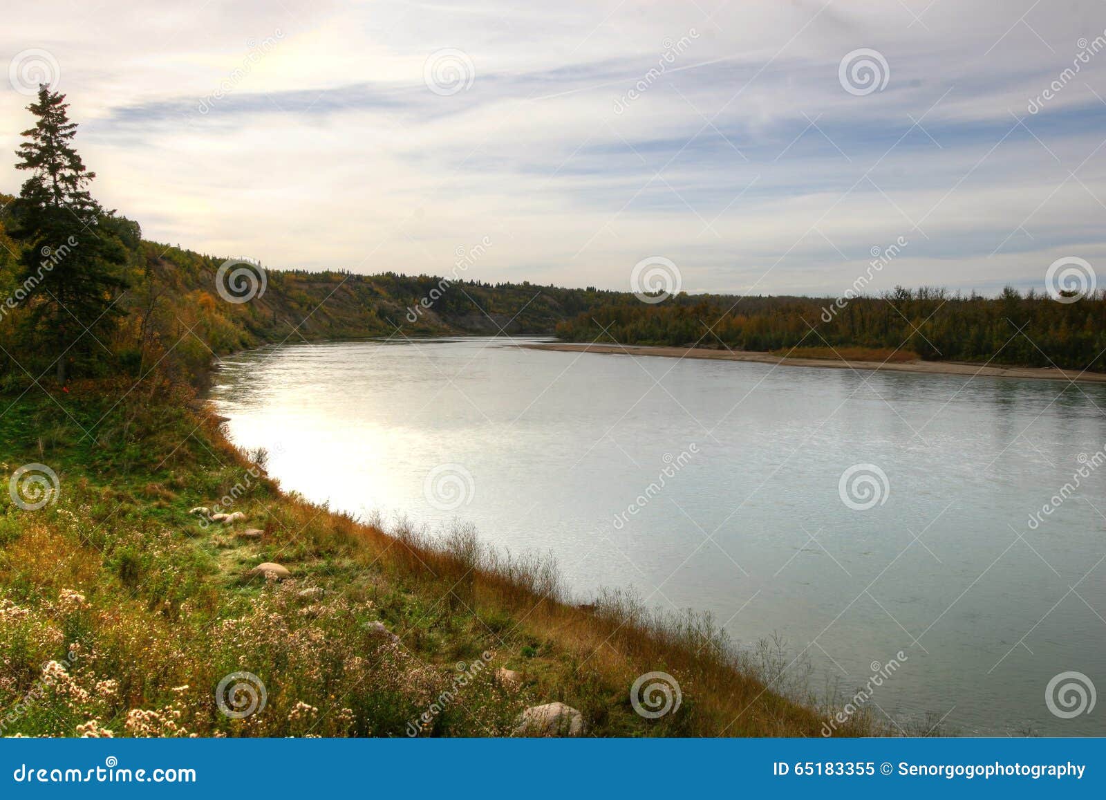 Saskatchewan River stock image. Image of dynamic, canada - 65183355