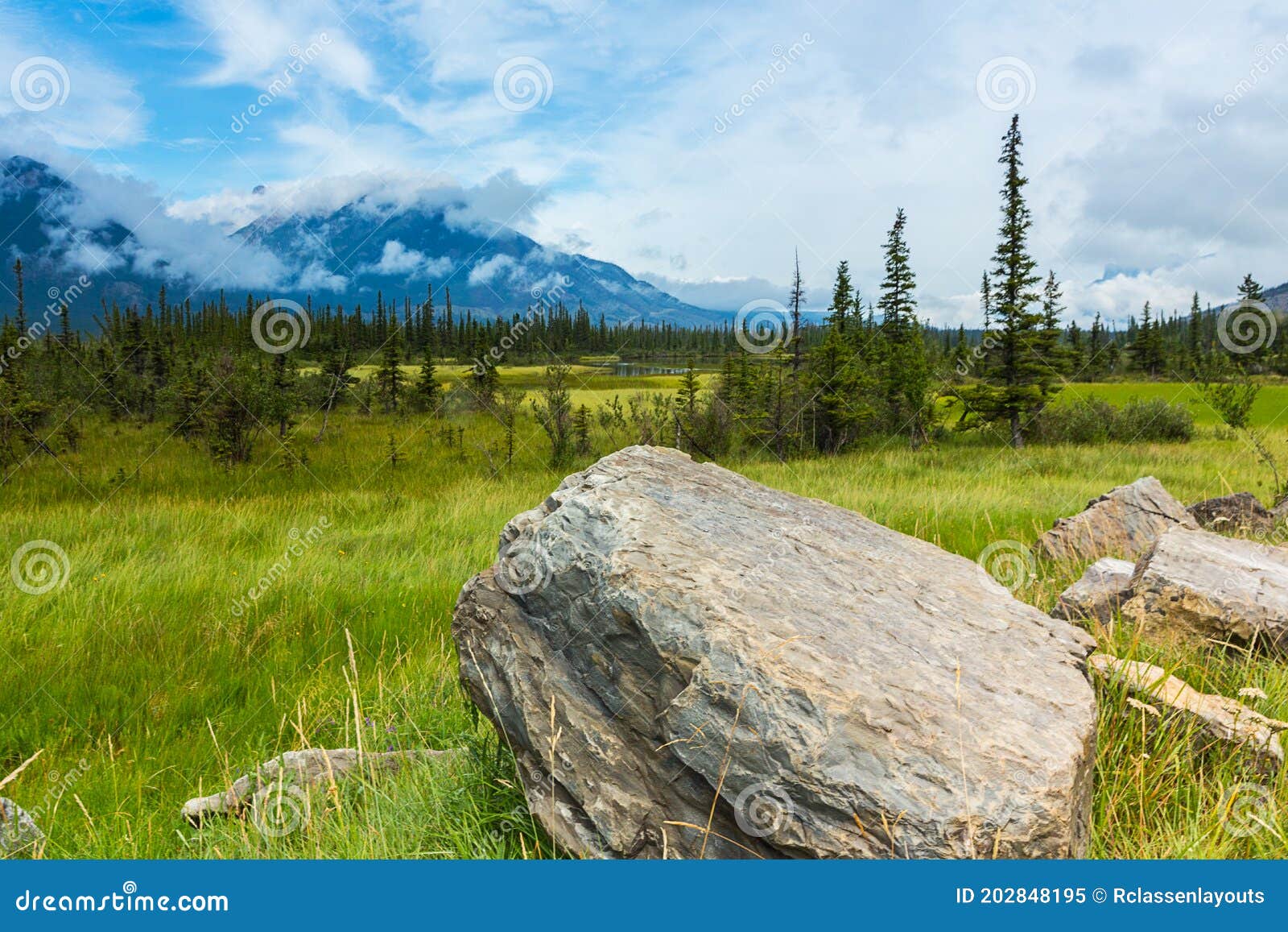 Saskatchewan Valley in Jasper Canada Stock Image - Image of trees ...