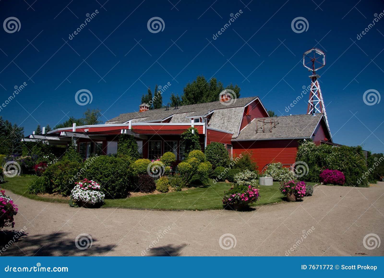 Saskatoon Berry Barn stock photo. Image of gardening, ornamental - 7671772