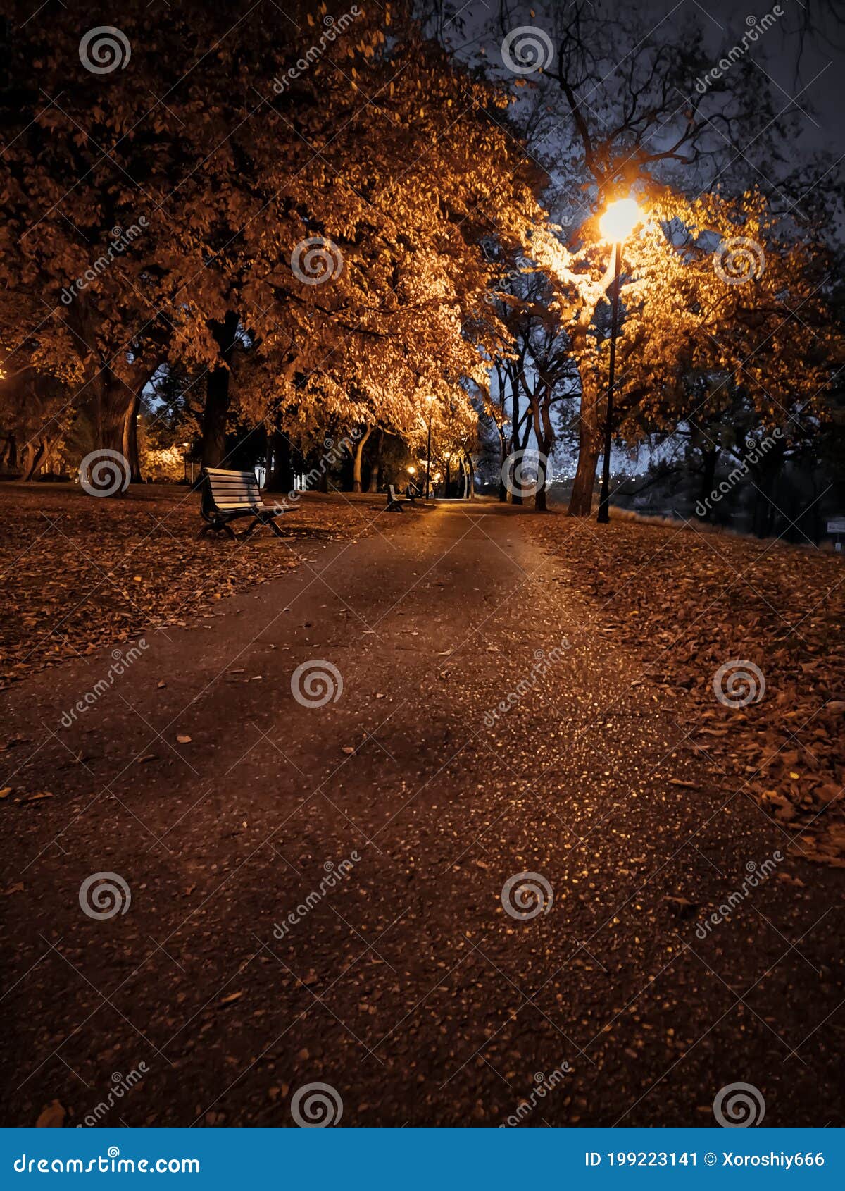 Saskatoon at Evening in Fall Season Stock Image - Image of saskatchewan ...