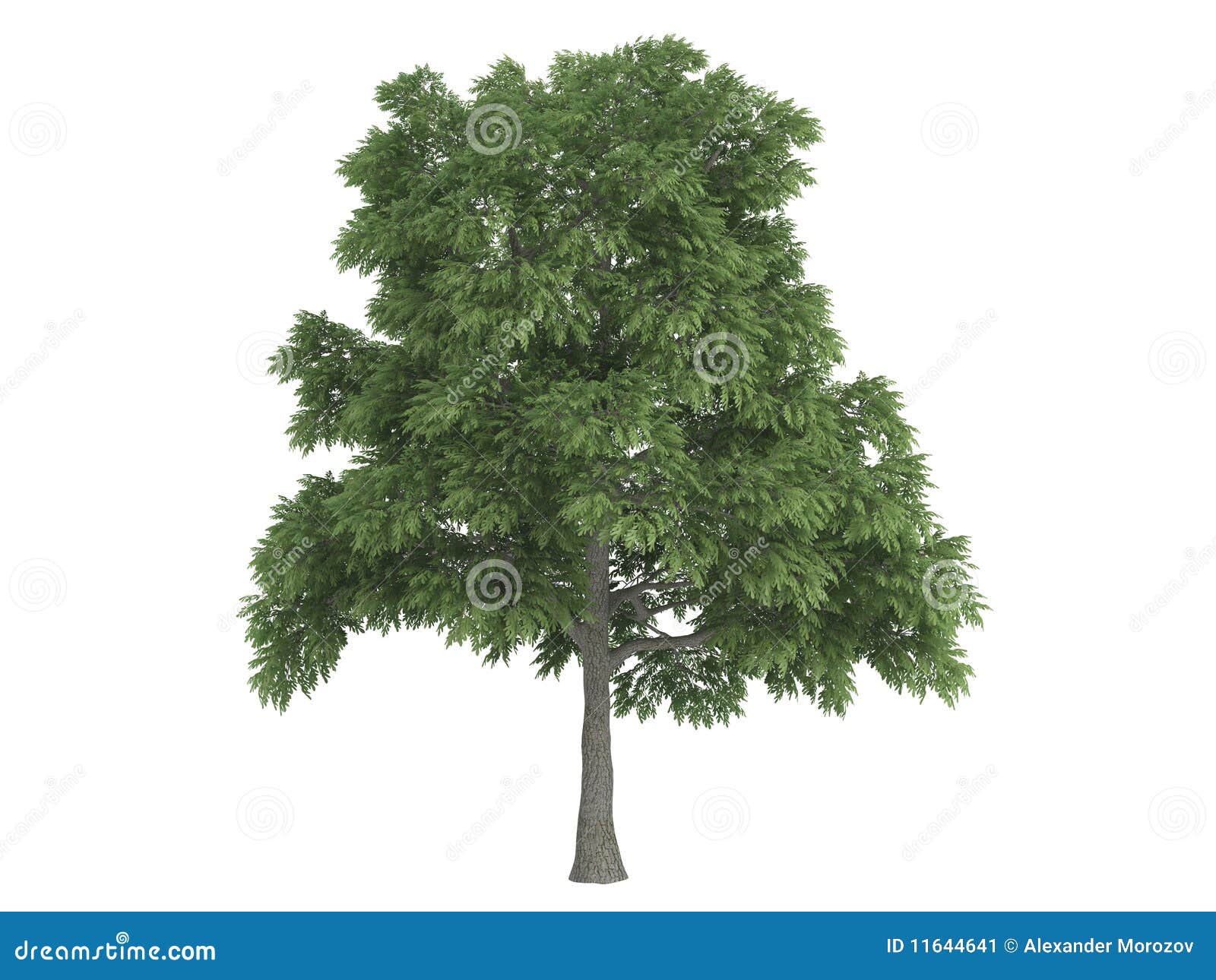 Sassafras Cartoons, Illustrations & Vector Stock Images - 457 Pictures ...