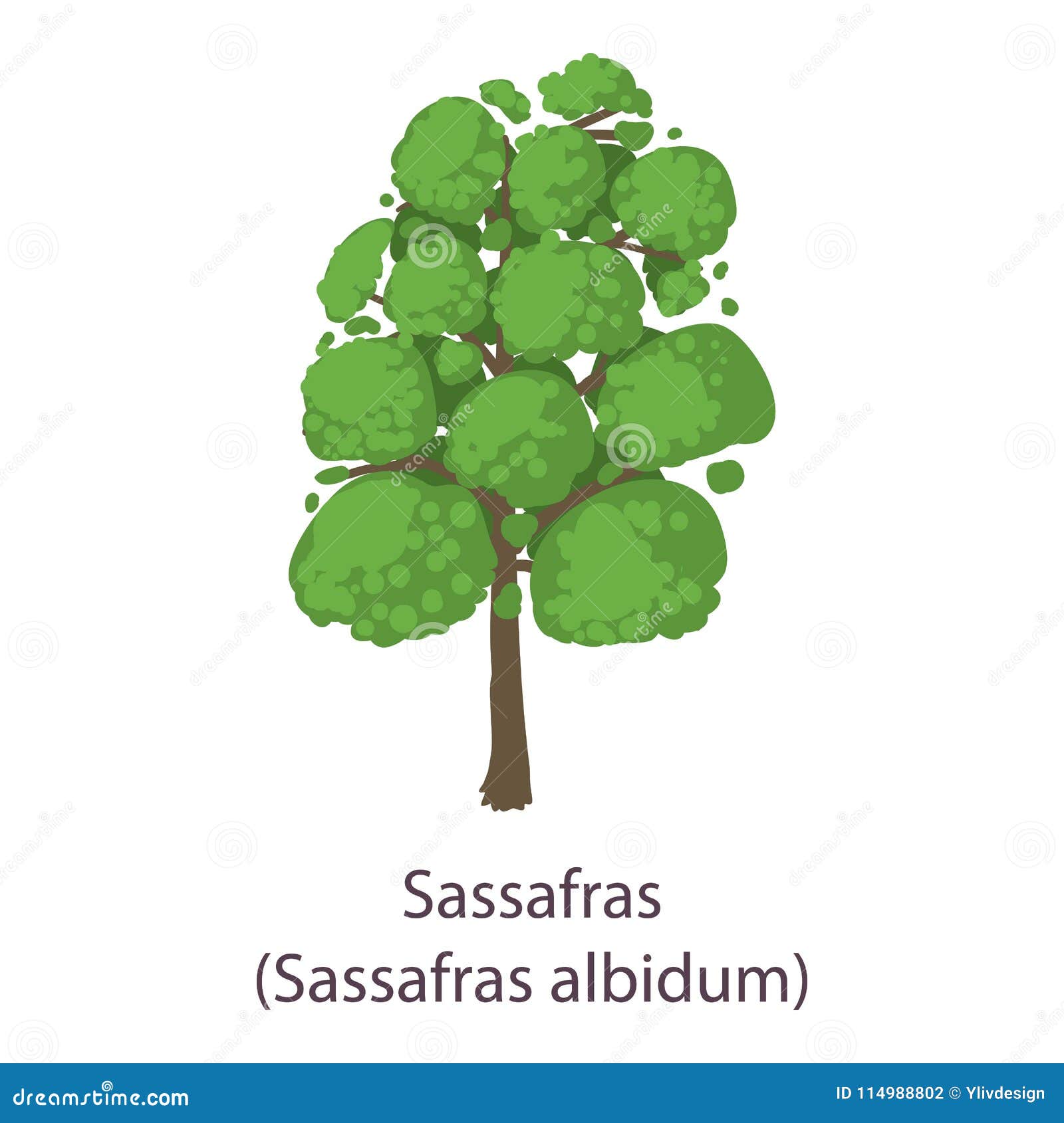 Sassafras icon, flat style stock vector. Illustration of vector - 114988802