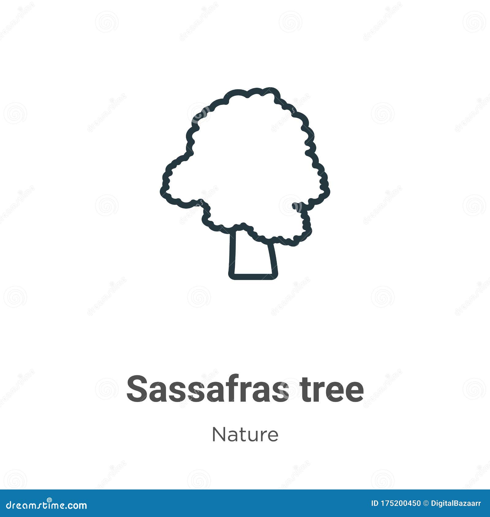 Sassafras Tree Icon Vector Sign And Symbol Isolated On White Background ...