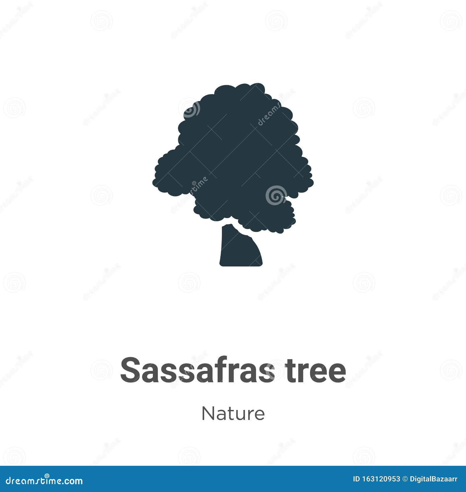Sassafras Tree Vector Icon On White Background. Flat Vector Sassafras ...