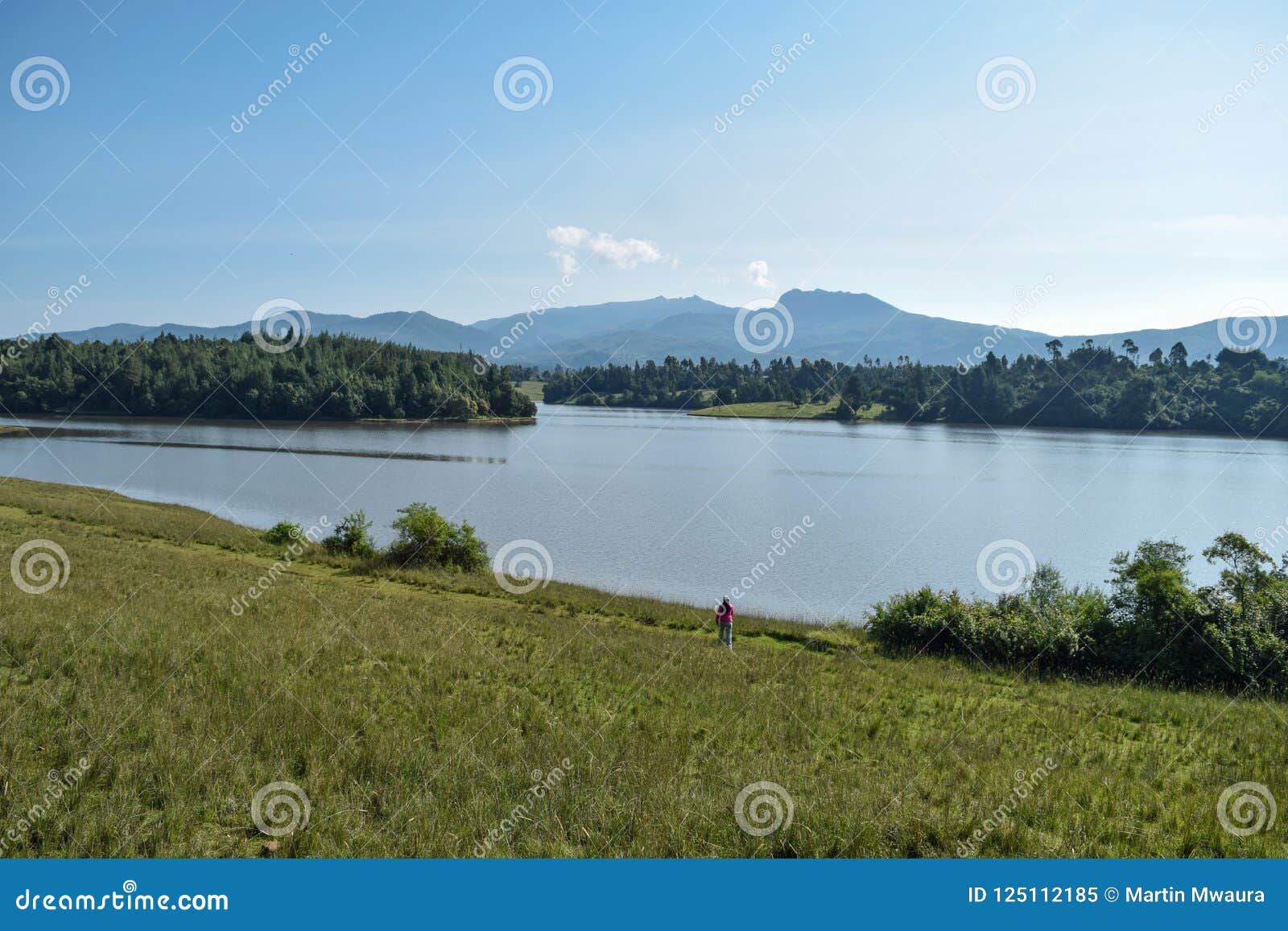 Ragia Forest Stock Photos - Free & Royalty-Free Stock Photos from ...